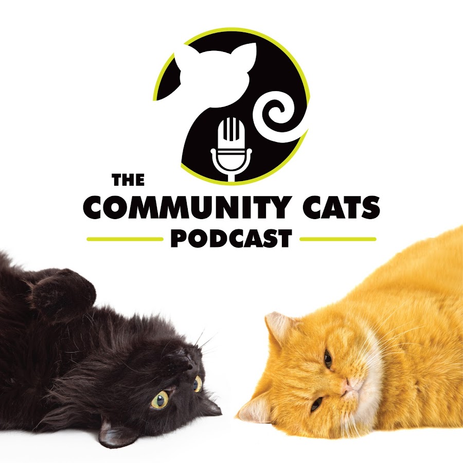 Community Cats Podcast - YouTube