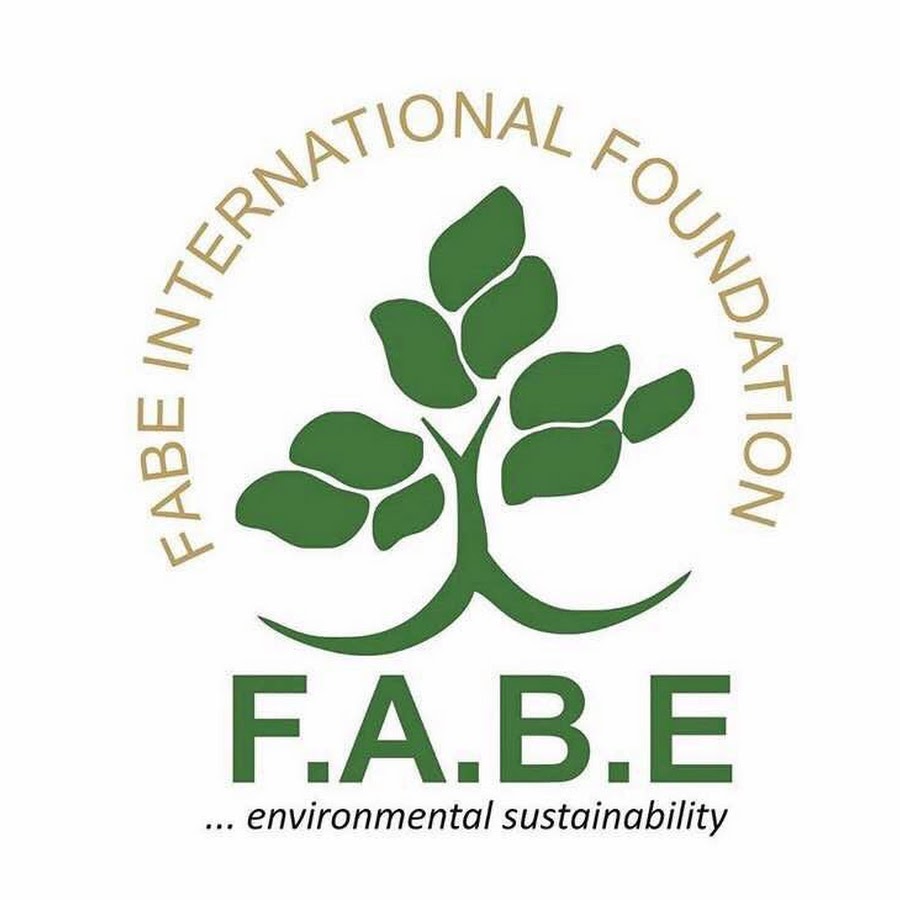 FABE International Foundation - YouTube