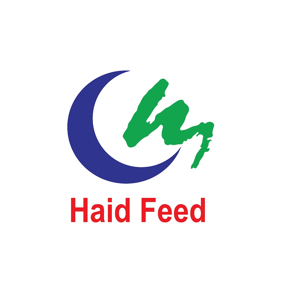 Haid Feed Viet Nam - YouTube