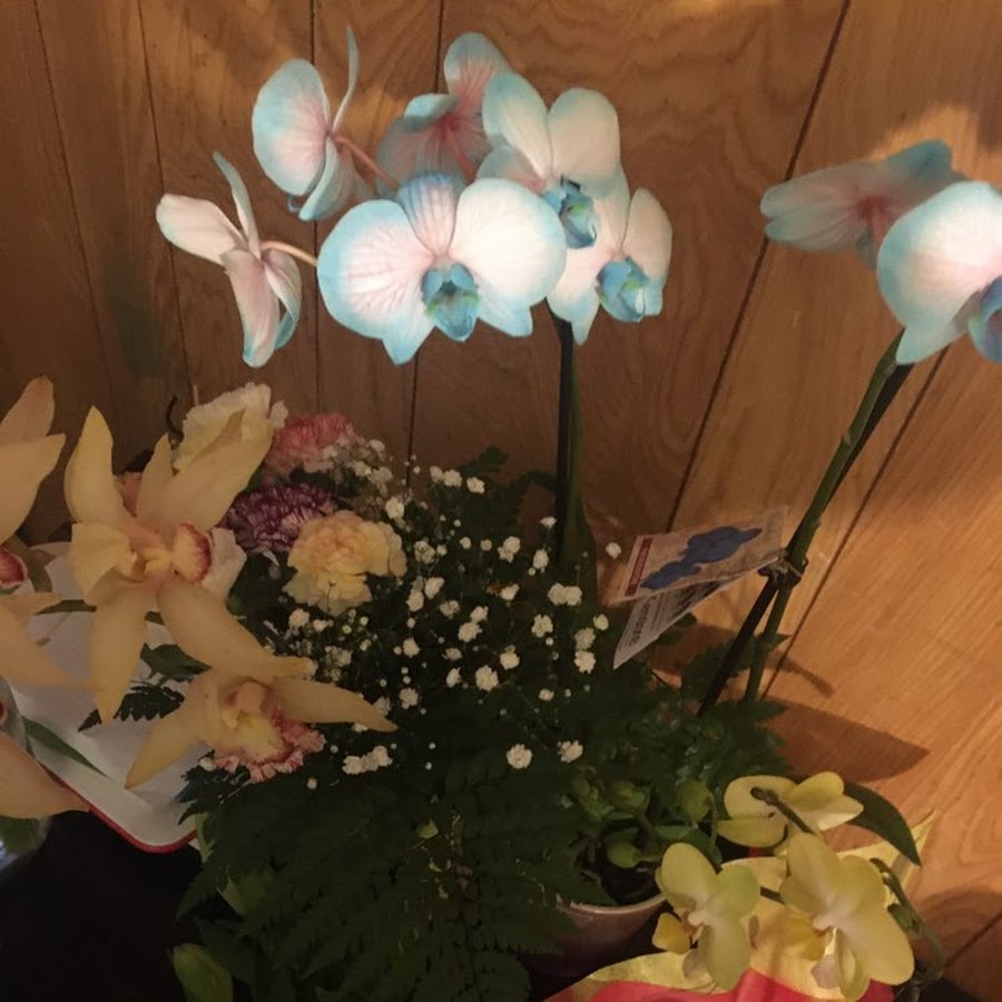 Maria Desiderio - YouTube