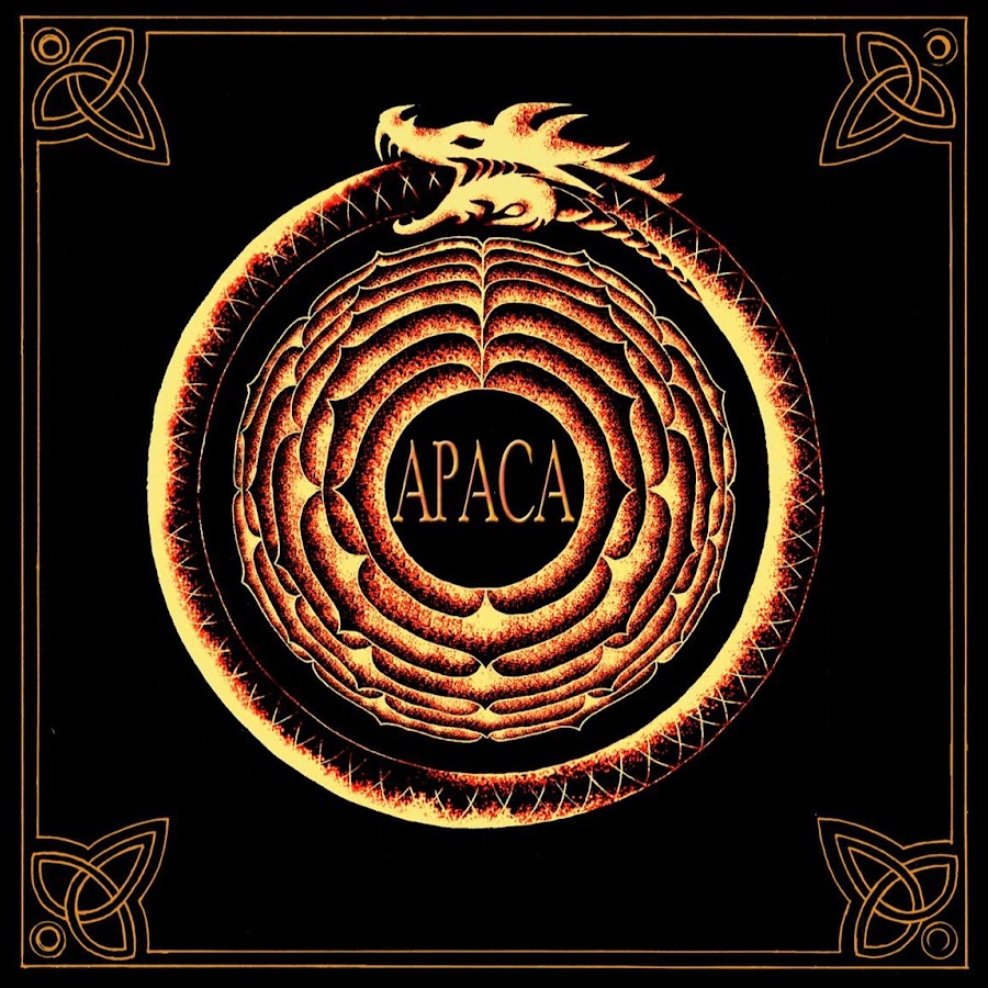 APACA Progetto - YouTube