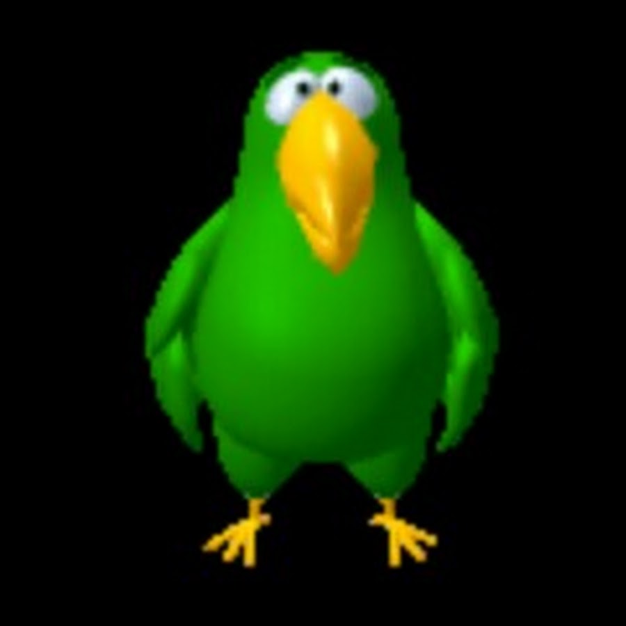 Peedy the Parrot - YouTube