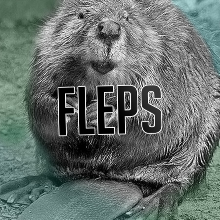 fleps - YouTube