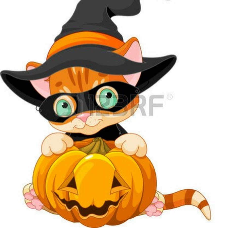 Pumpy _thecat - YouTube