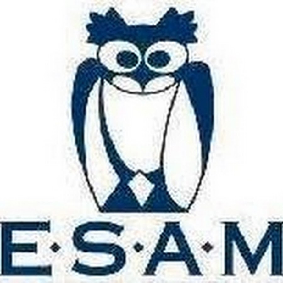 ESAMviseu - YouTube