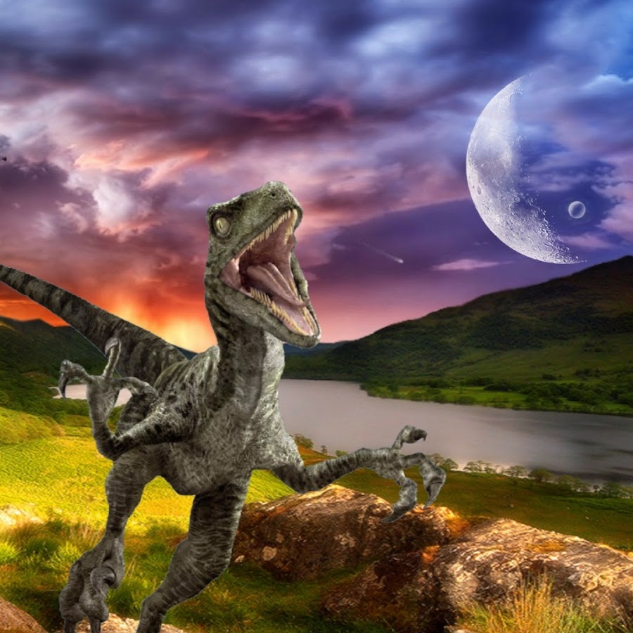 The Raptor - YouTube