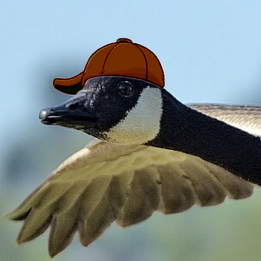The Hat-Wearing Goose - YouTube