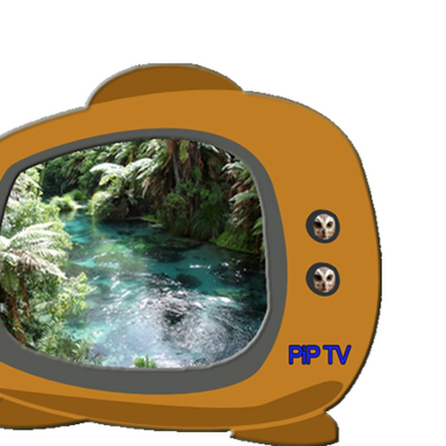 PiP TV - YouTube