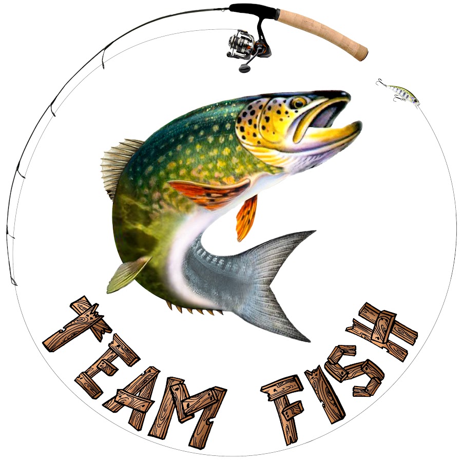 TEAM FISH - YouTube