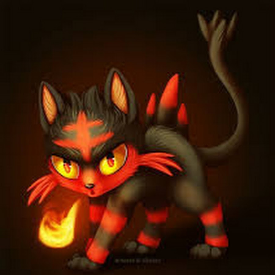 fire kitten - YouTube