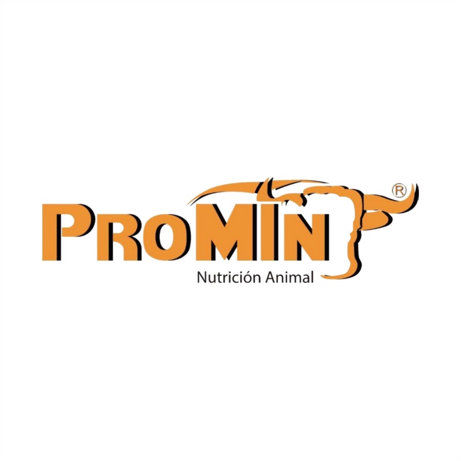 Promin - YouTube