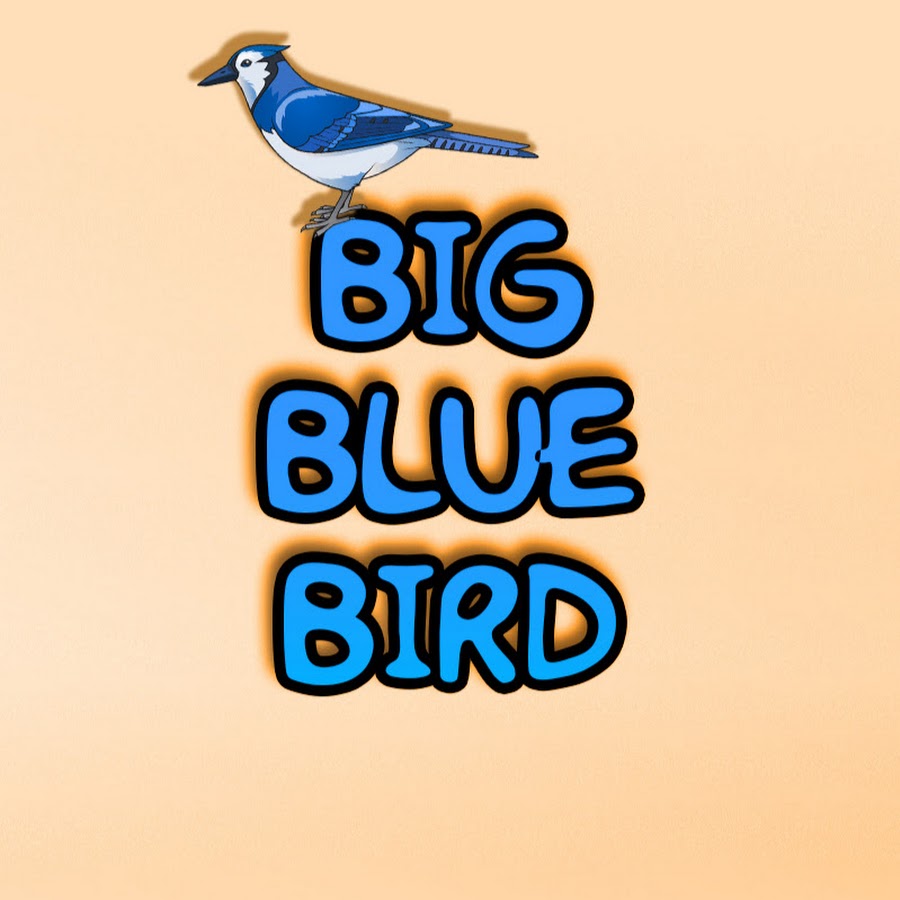 BIG BLUE BIRD - YouTube