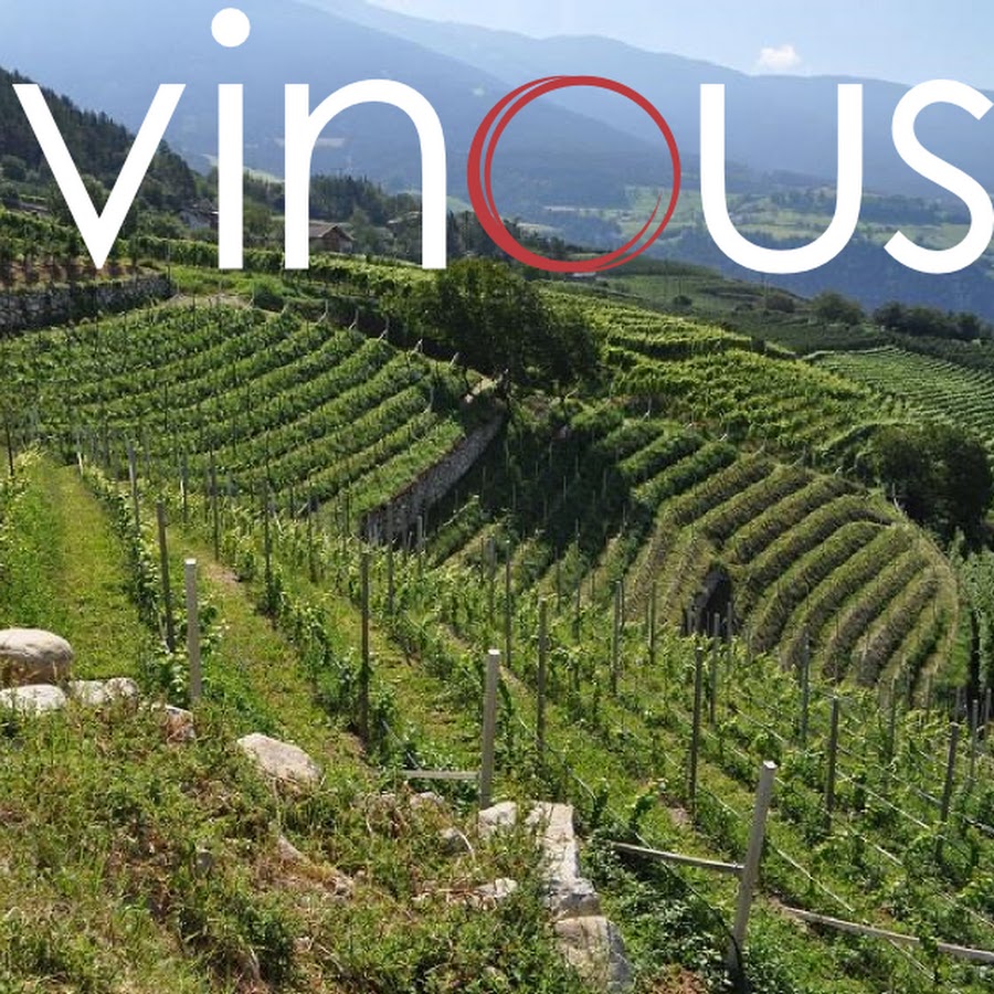 Vinous - YouTube