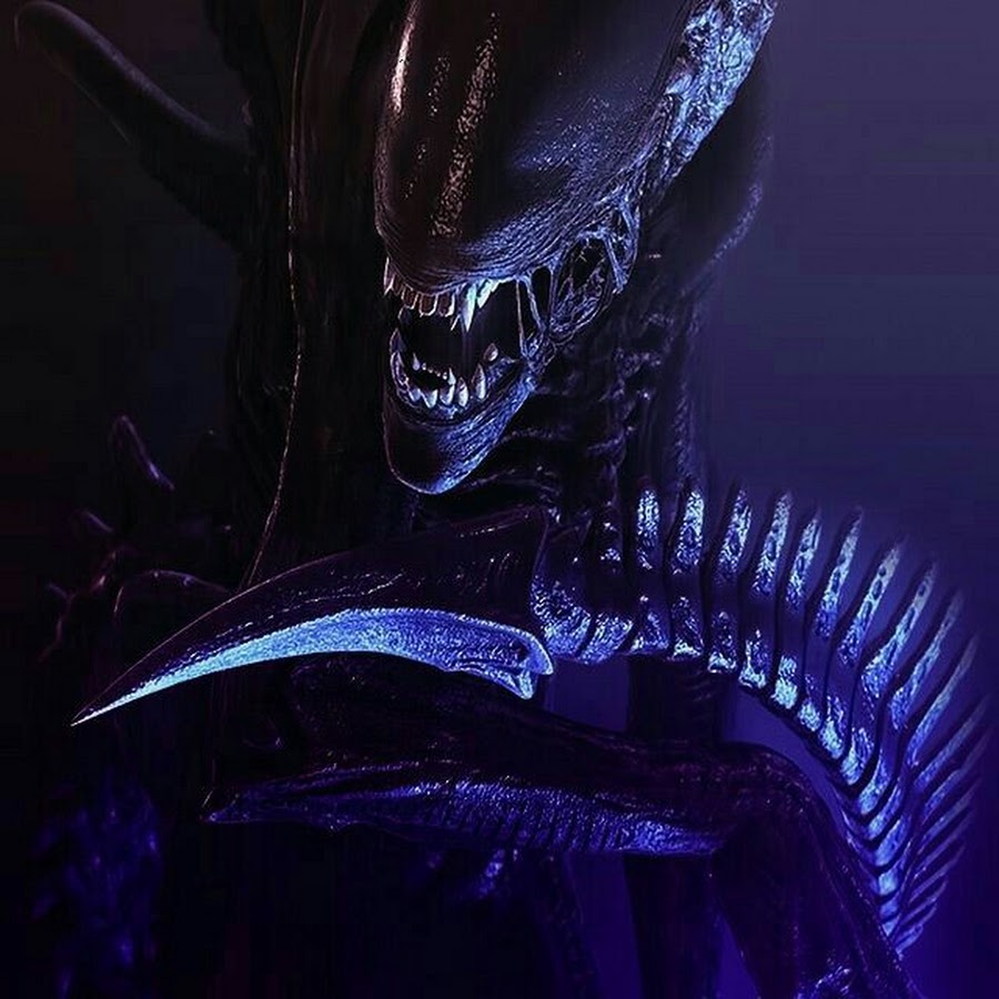 Female Alien Xenomorph - YouTube