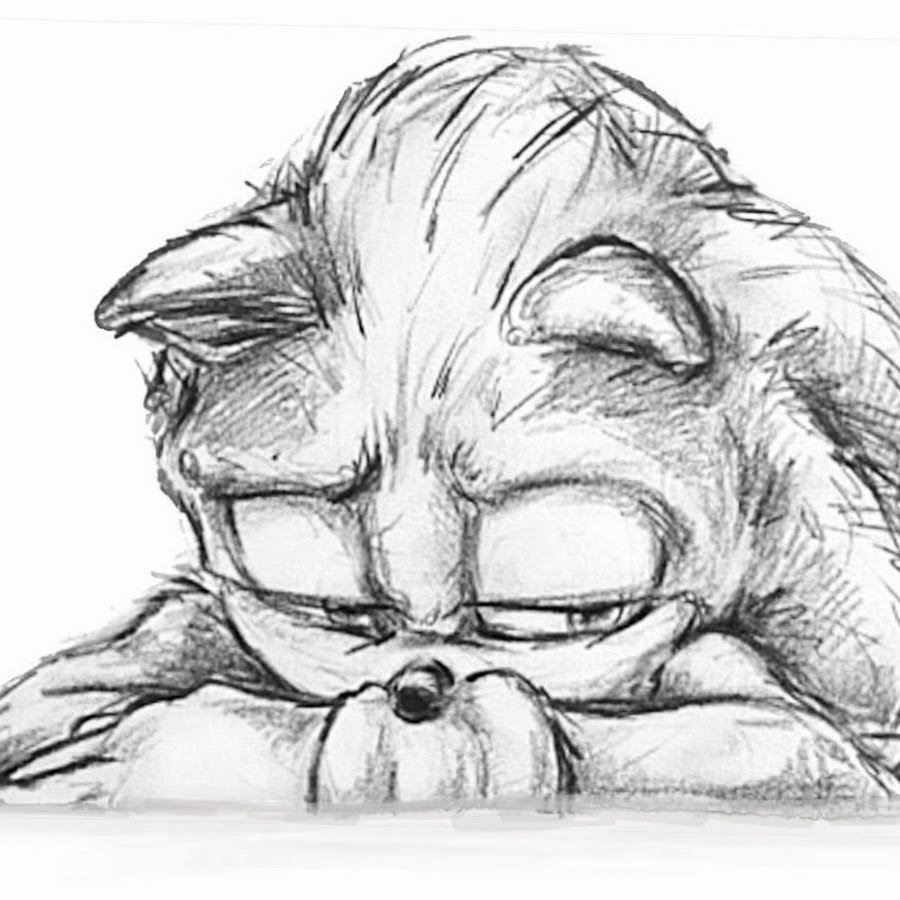 TheSonicJnr official Maurice Sonic Hedgehog Jr - YouTube