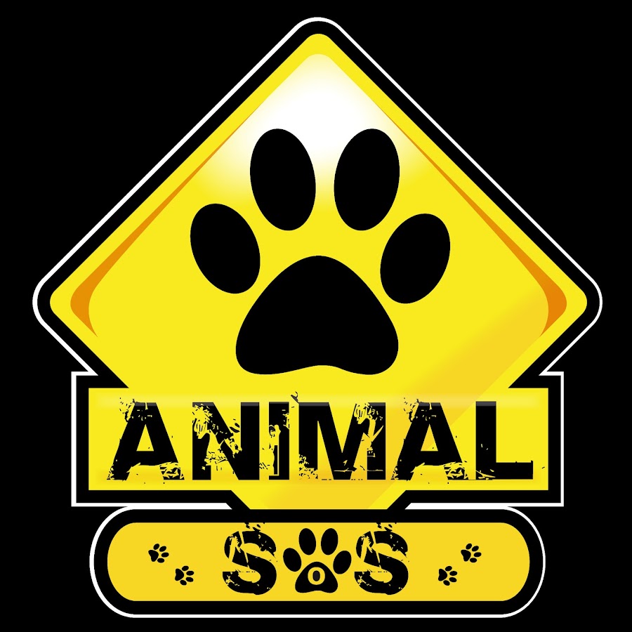 Animal SOS onlus - YouTube