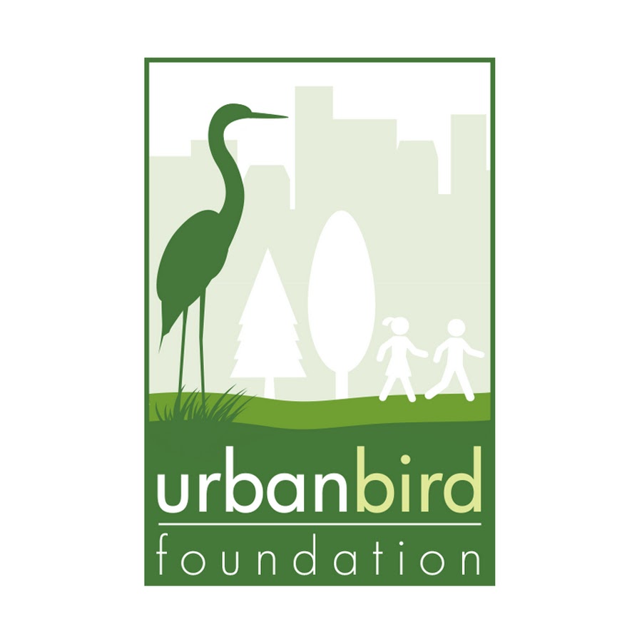 Urban Bird Foundation - YouTube