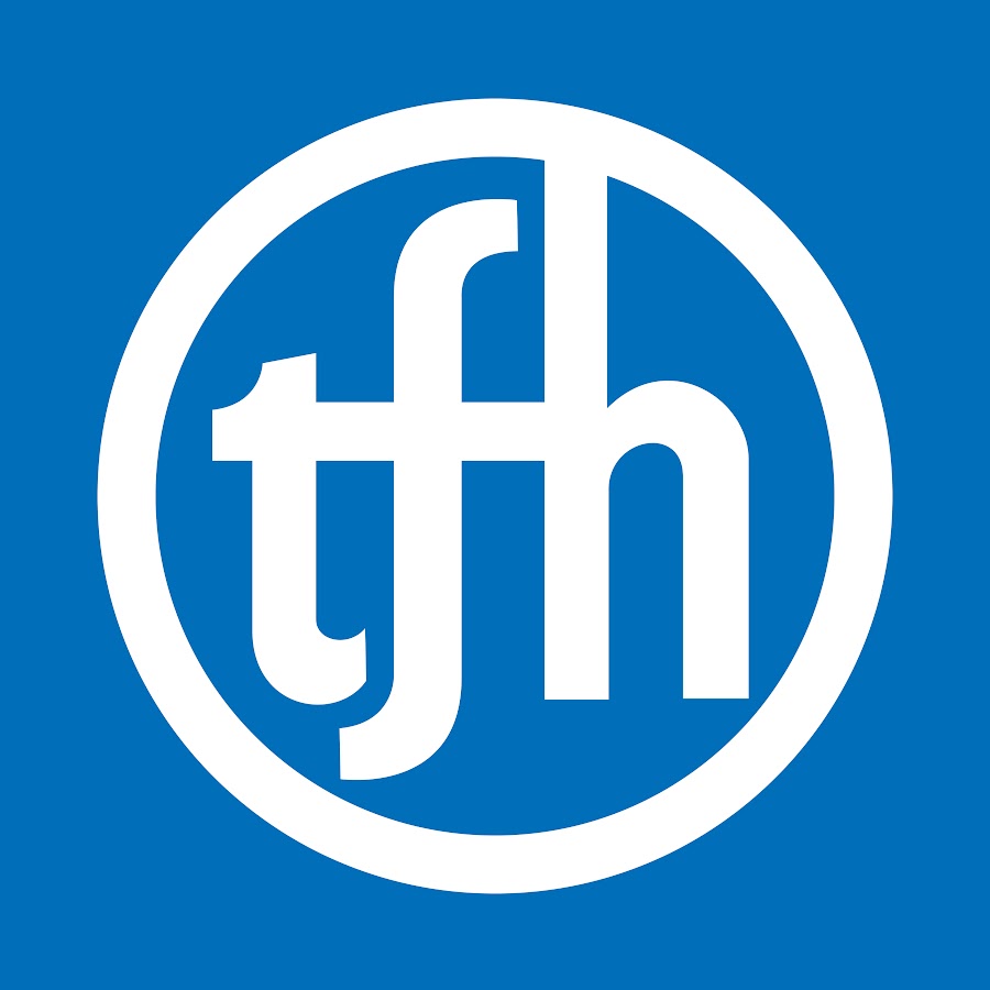 TFH Special Needs Toys & Sensory Rooms - YouTube