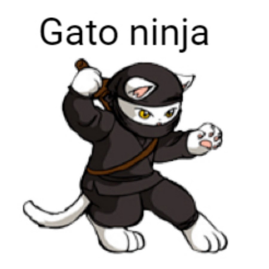 #GATITO Ninja# - YouTube