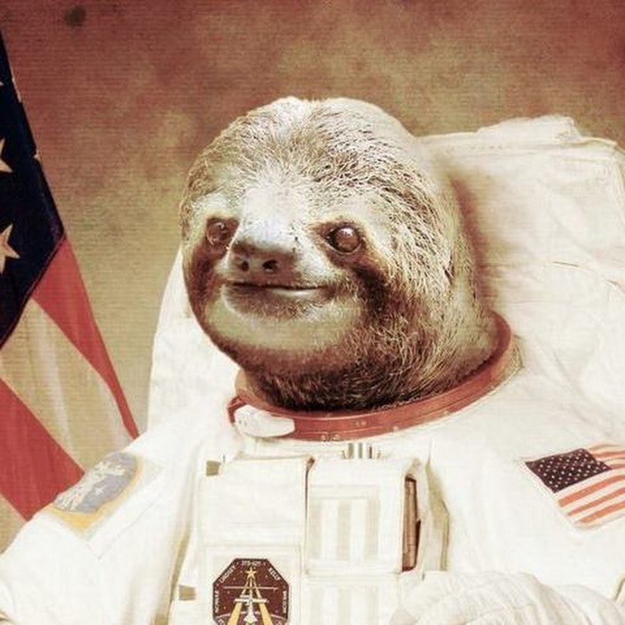 dfsdf sdfsdf - YouTube