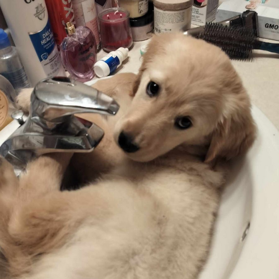 Riley Power - YouTube