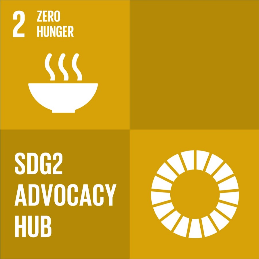 SDG2 Advocacy Hub - YouTube