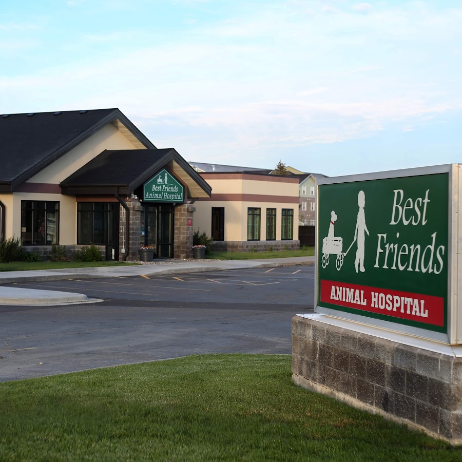 Best Friends Animal Hospital and Urgent Care Center - YouTube