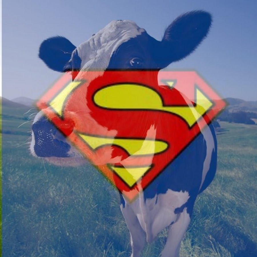 SuperCow Productions - YouTube