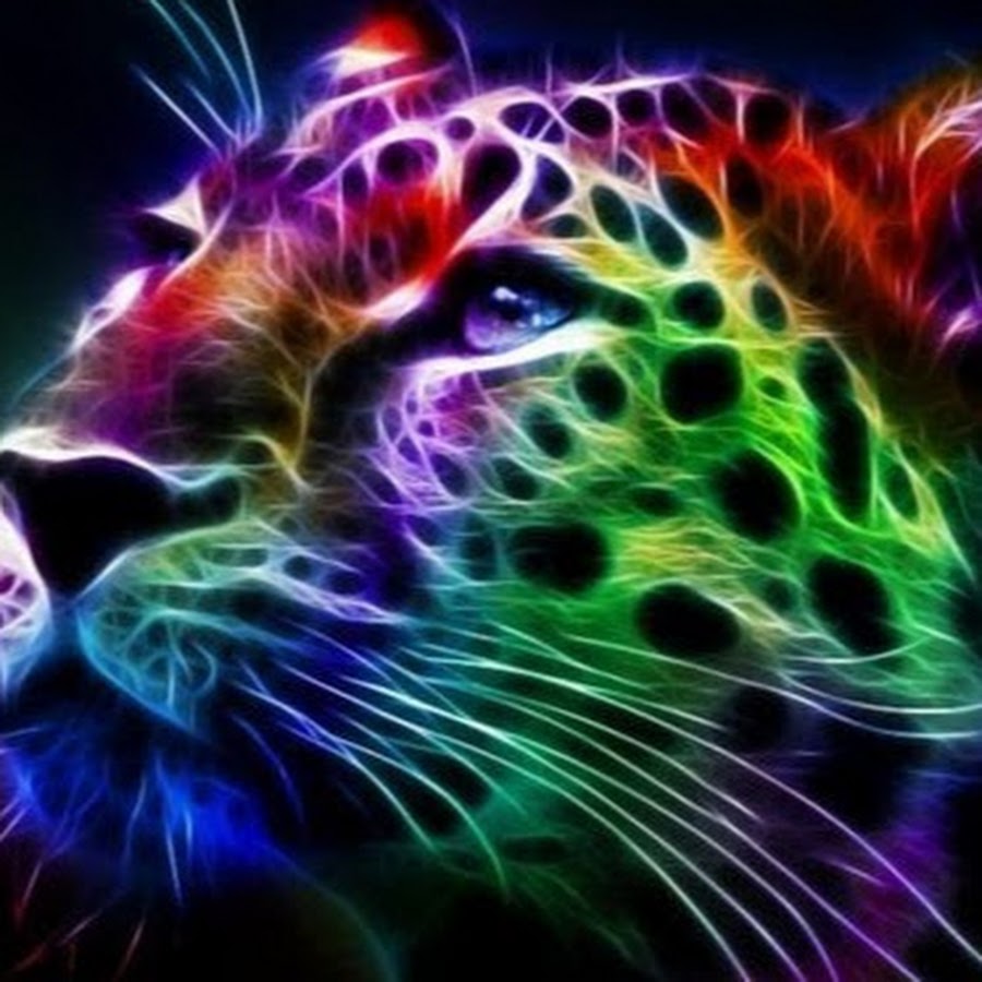 Cat Gaming YouTube