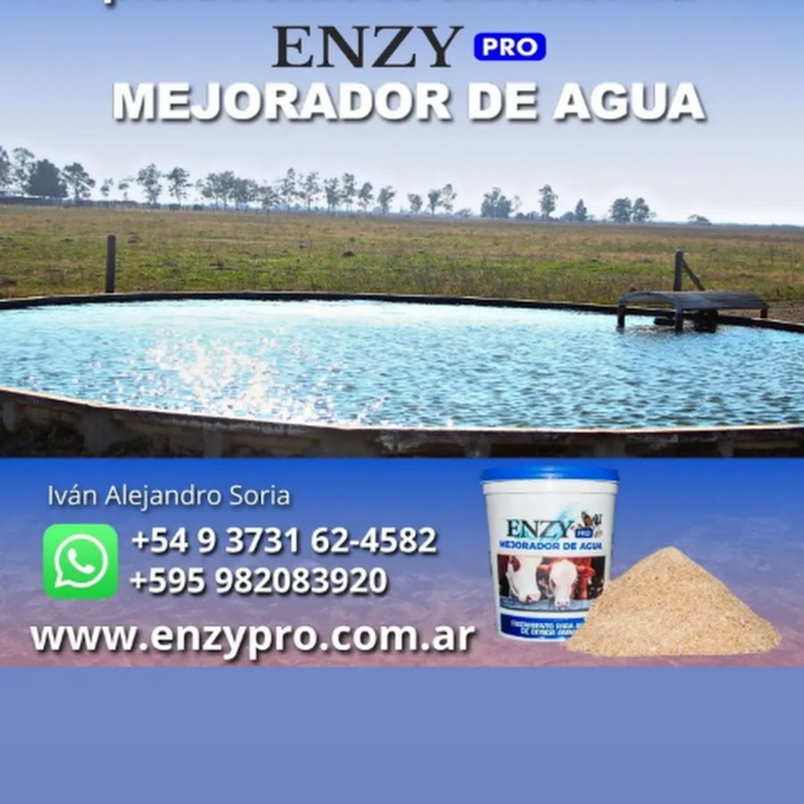 ENZY PRO MEJORADOR DE AGUA - YouTube