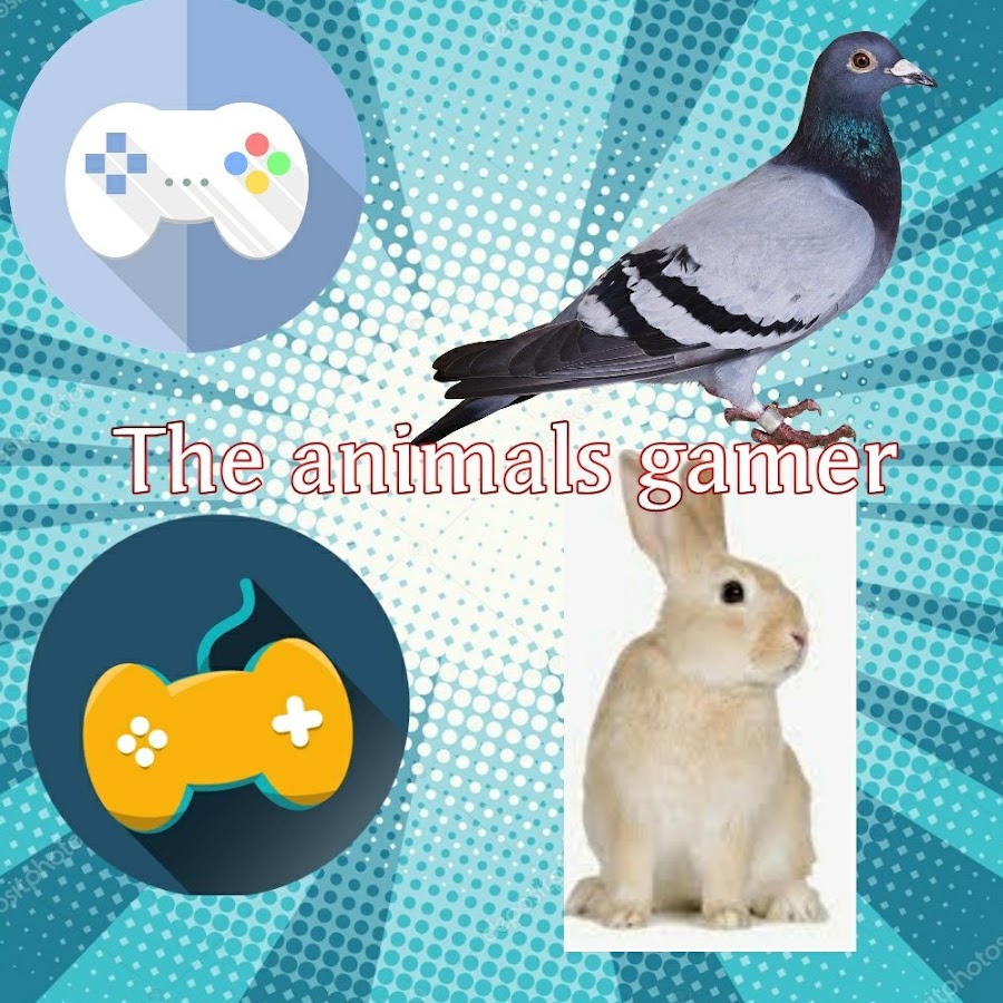 The animals Gamer - YouTube
