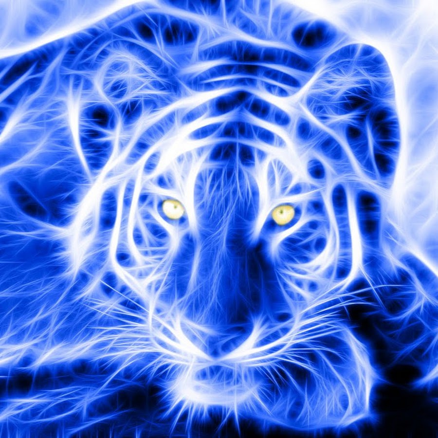 Electric Tiger - YouTube