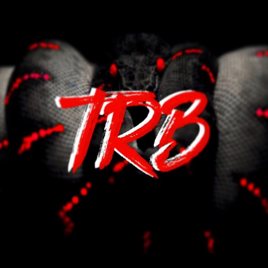 TRB On The Beat - YouTube
