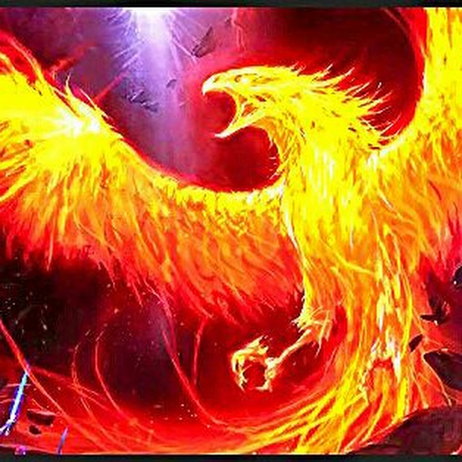 Burning Phoenix Productions - YouTube