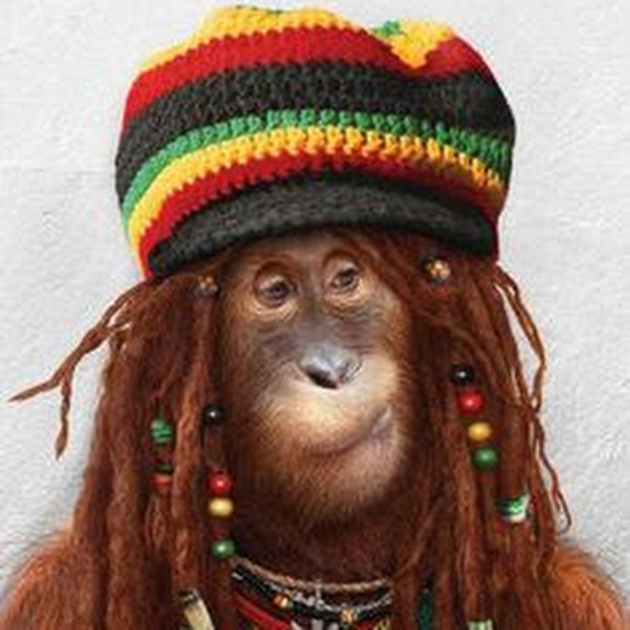 Tech Monkey - YouTube