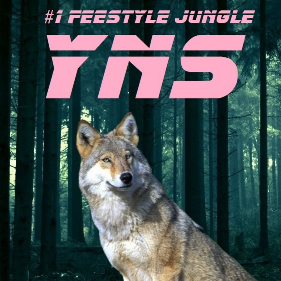 YNS OFFICIEL - YouTube