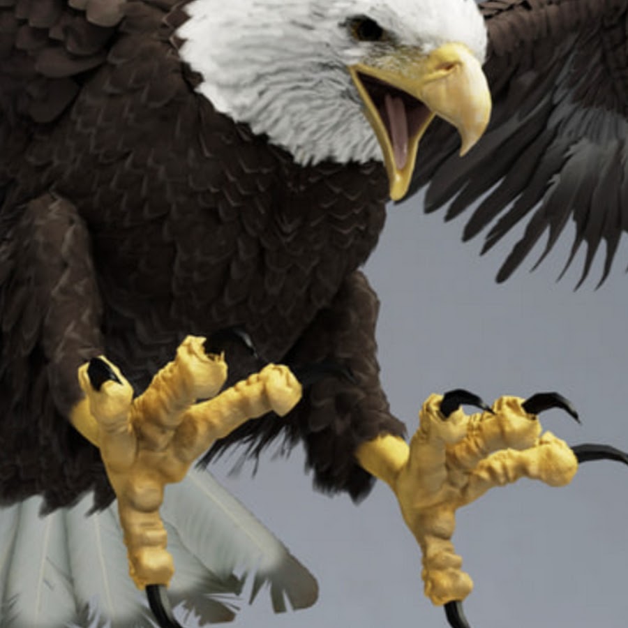 Eagle Talons - YouTube