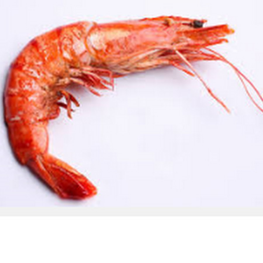 Shrimp Man - YouTube