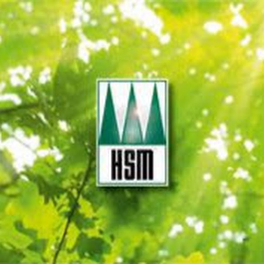 HSM - Forest - YouTube