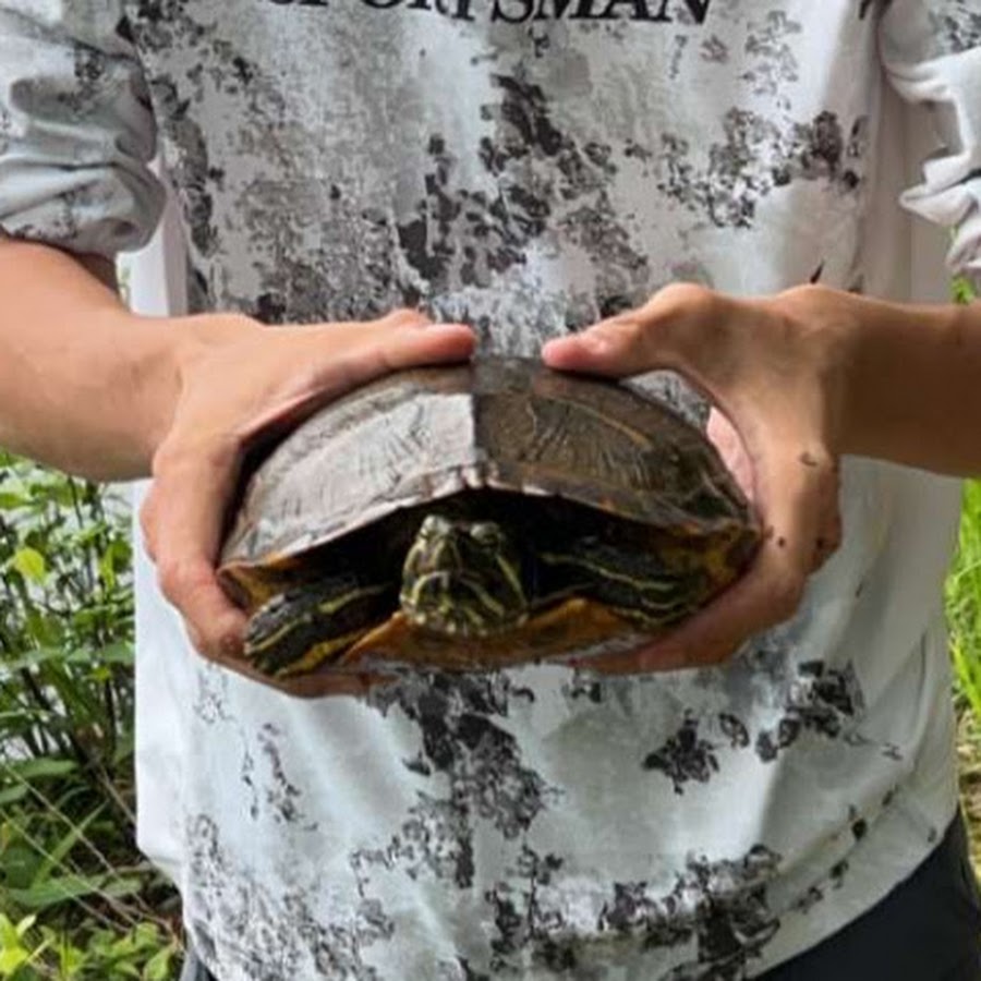 Rex Gaming_501st - YouTube