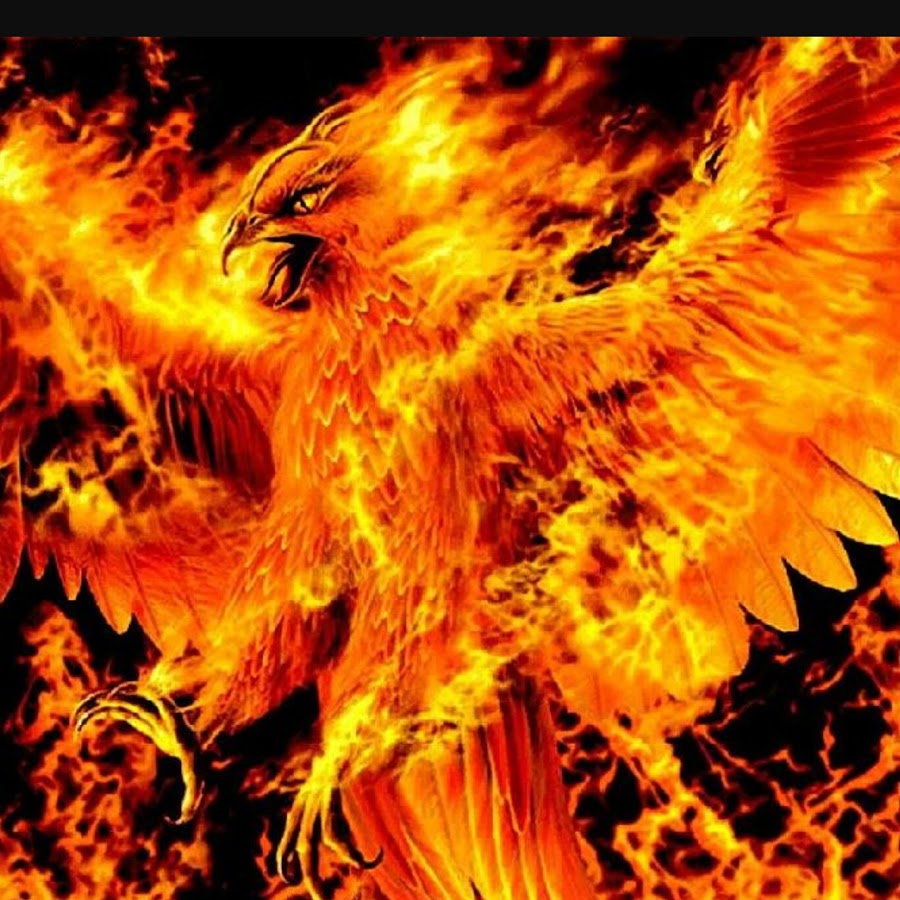 Flaming FalconXD - YouTube