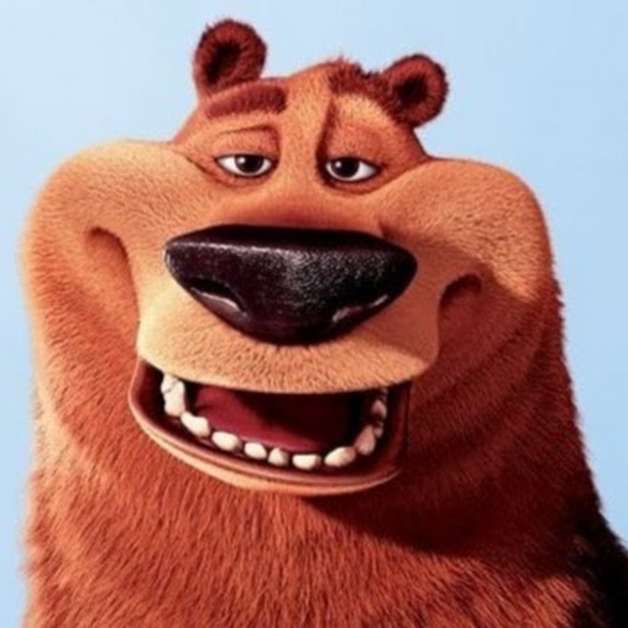 fuzzy bear - YouTube