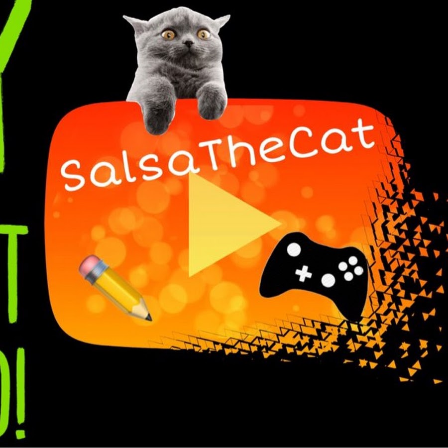 Salsa Cat - YouTube
