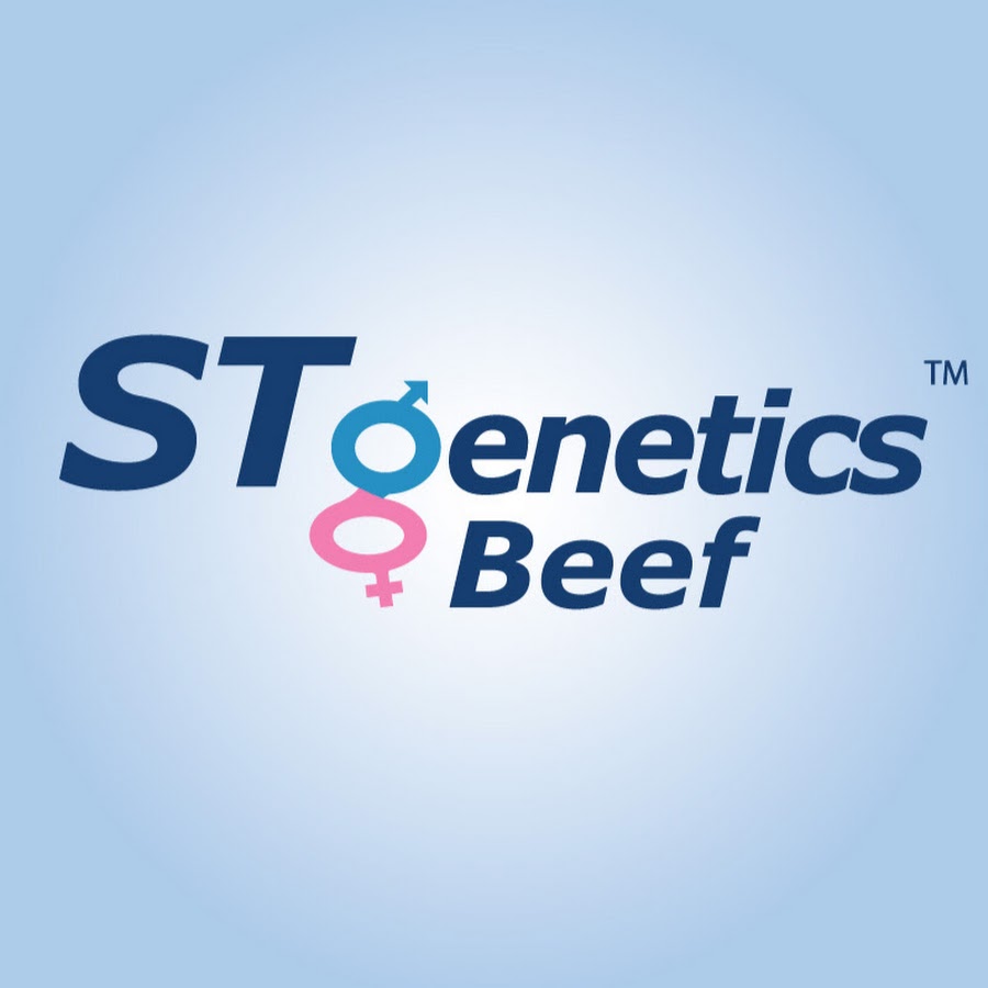 STgenetics Beef - YouTube