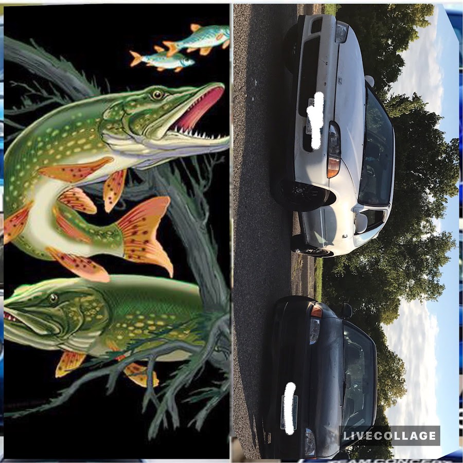 Cars & Fishing - YouTube