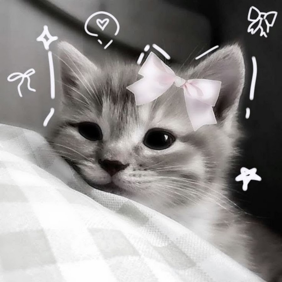 Merlin Belialuin - YouTube