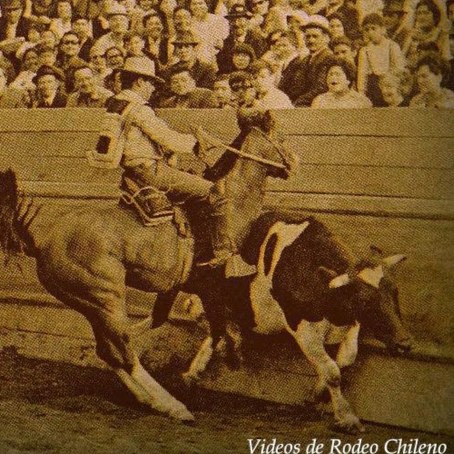 Videos de Rodeo Chileno - YouTube