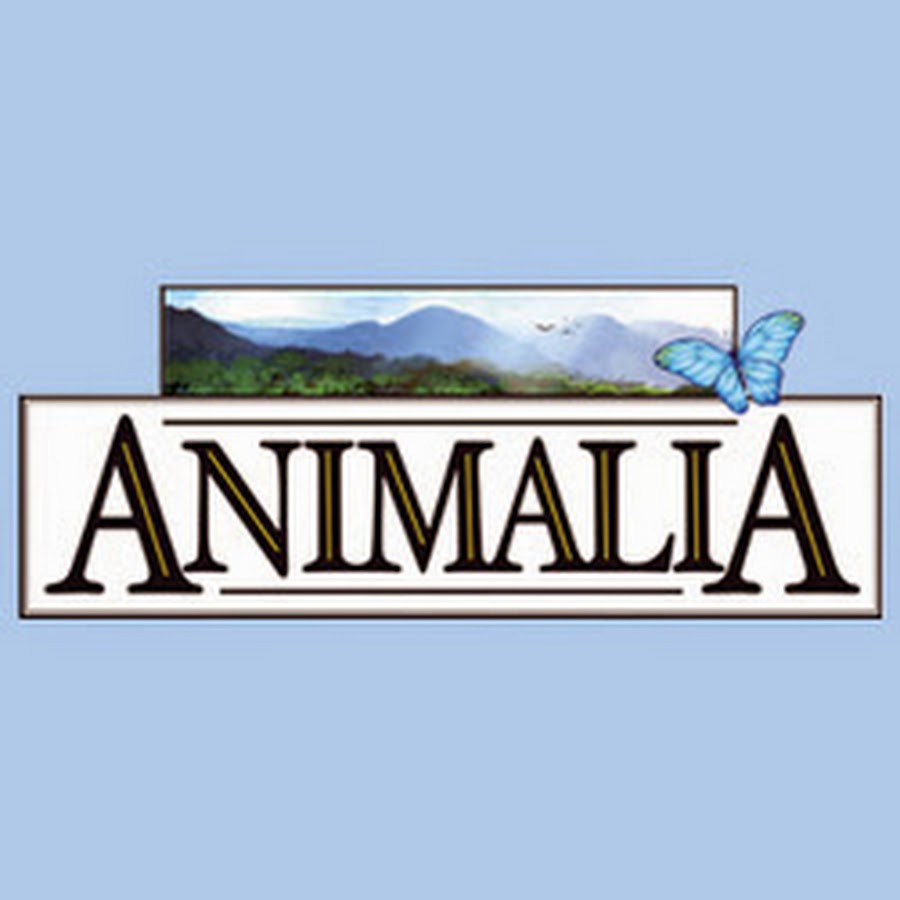 Animalia in English - YouTube