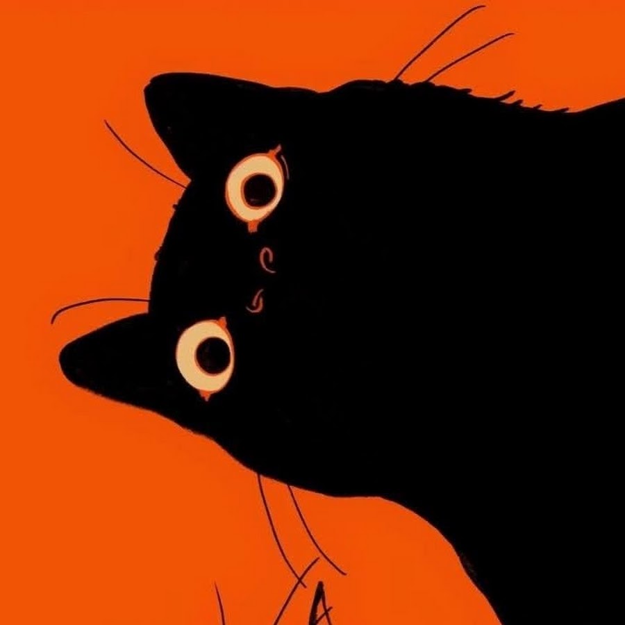 Peachy Cat - YouTube