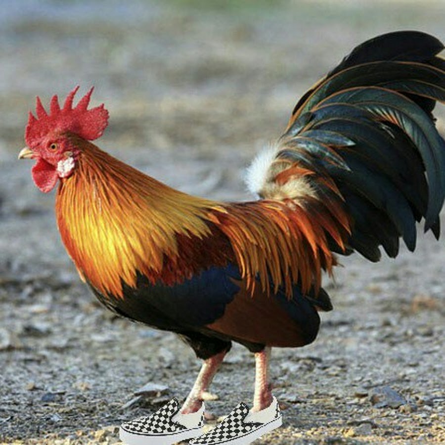 Angg Was Here - YouTube